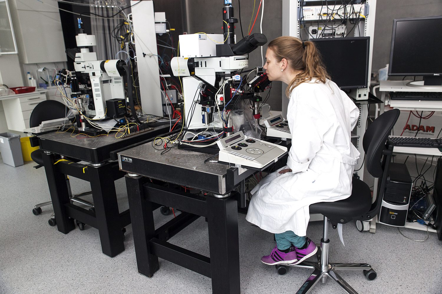 NSL | ChrisAll Solution